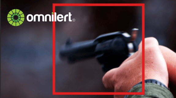 Comparing Visual Gun Detection | Omnilert